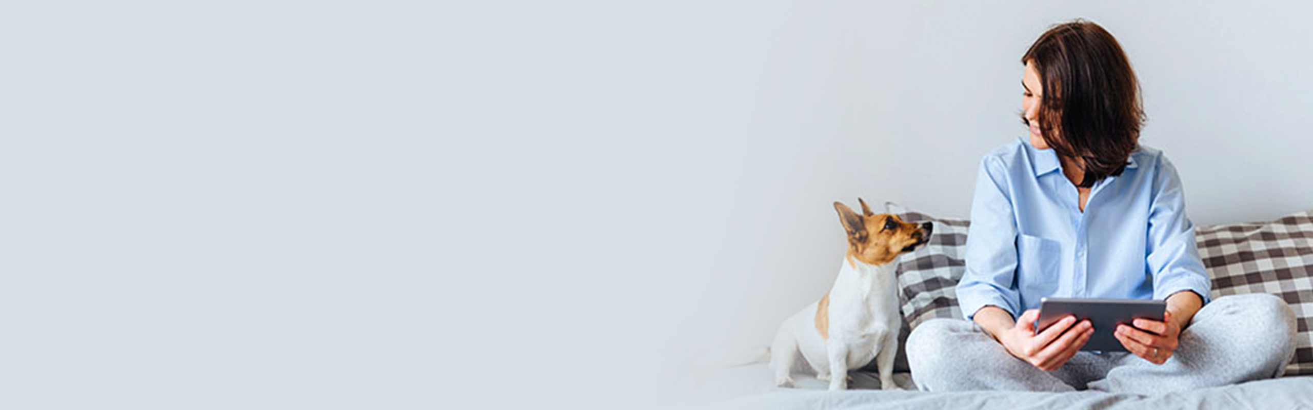 Digital Innovation | Boehringer Ingelheim Animal Health